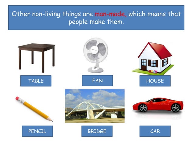 Living and non living things | PDF