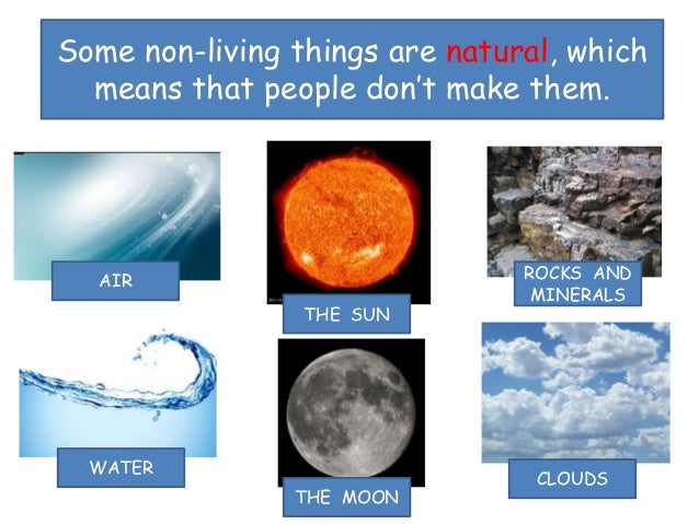Living and non living things