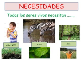 Living and non living things . español | PPTX