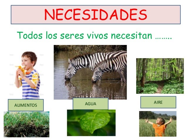 Living and non living things . español