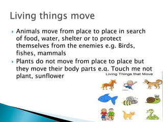 Living and non-living things | PPT