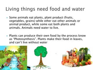 Year Science Living Things Need Food And Water, 43% OFF