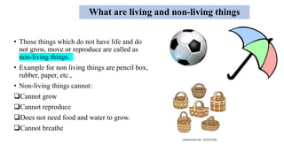 Living and non living things | PPTX