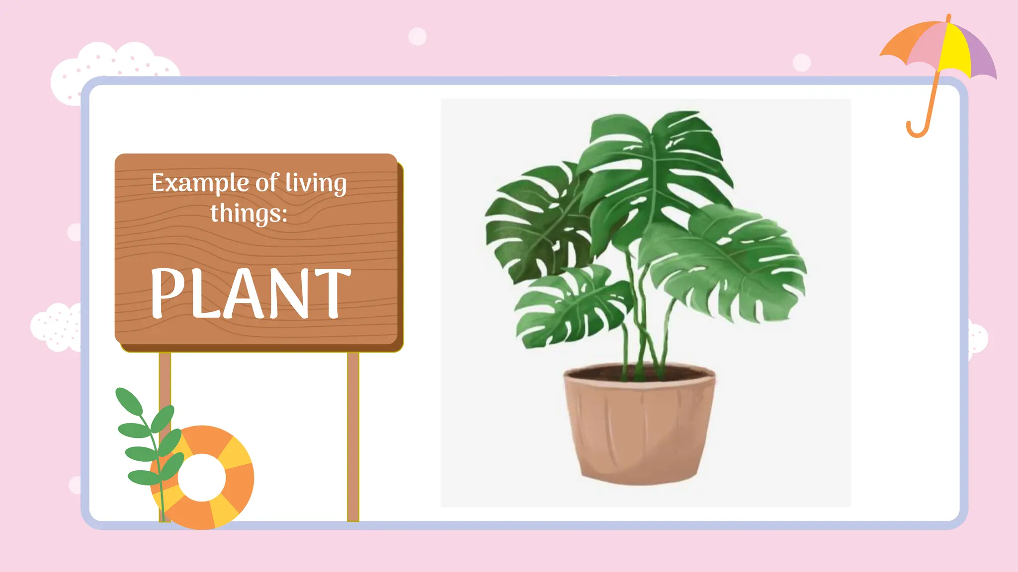 Living and Non-Living Things Science for Grade 2 | PPTX