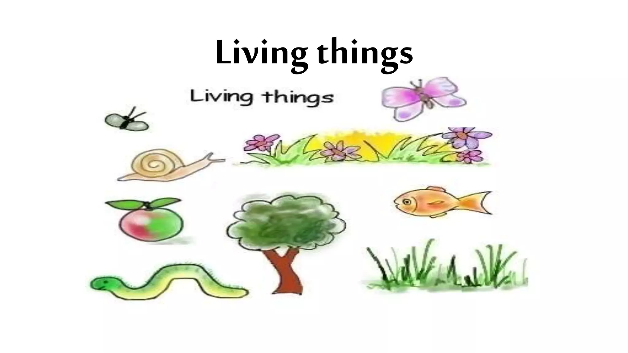 Living and non living things | PPT