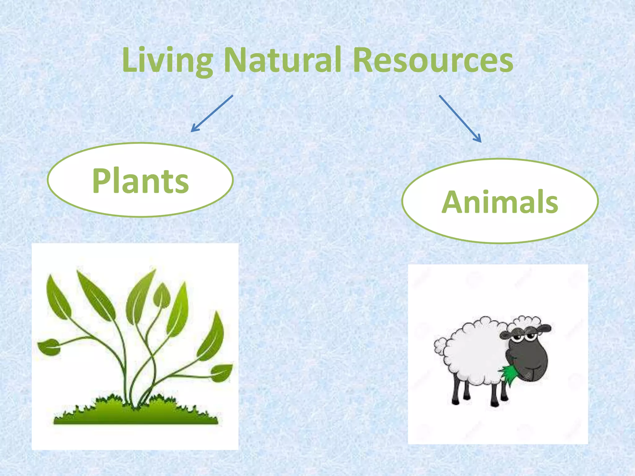 Living and non living Natural Resources | PPTX