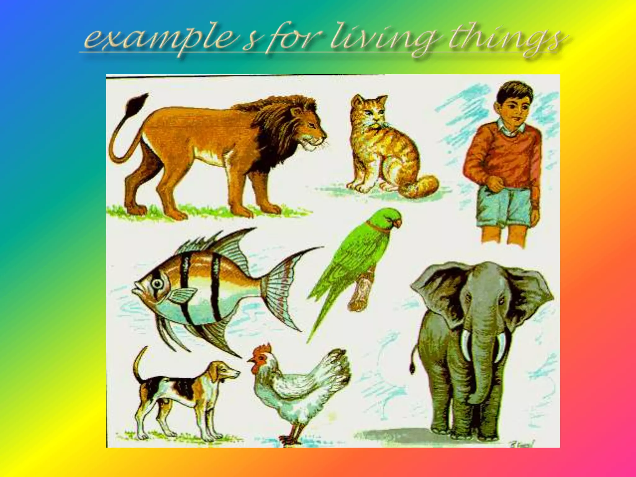 Living and non living things | PPT