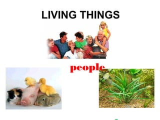 Living things | PPT