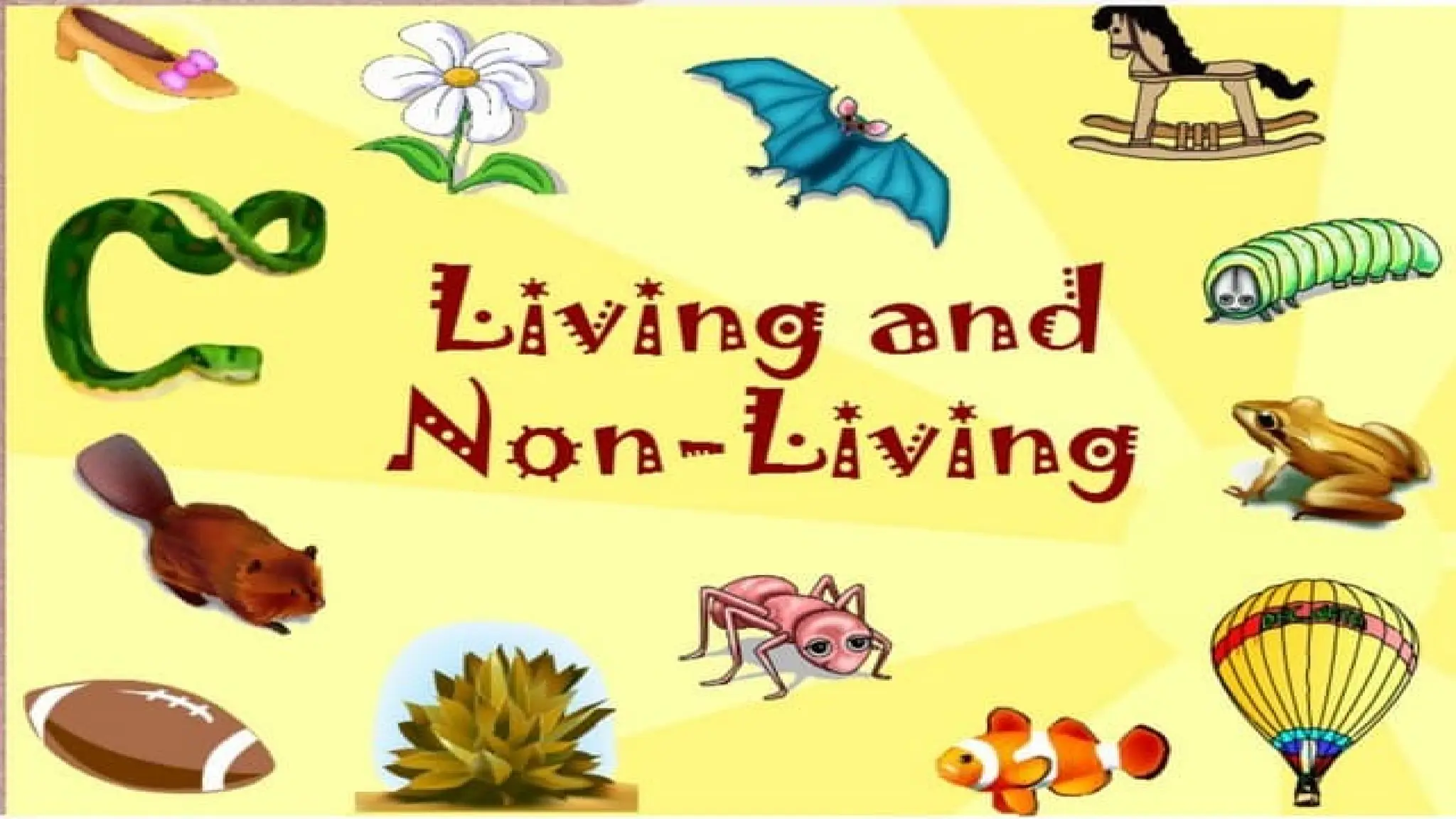 Living and non living things Class 6.pptx