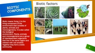 Living and non living things Class 6.pptx