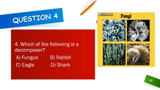 Living and non living things Class 6.pptx
