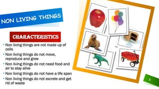 Living and non living things Class 6.pptx