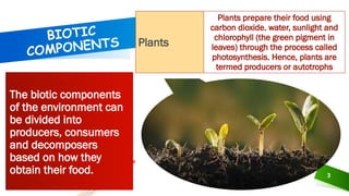 Living and non living things Class 6.pptx