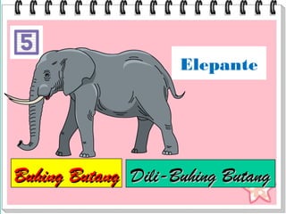 MGA BUHI OG DILI MGA BUHING BUTANG GRADE 3 SCIENCE | PPT