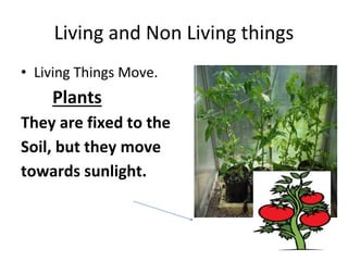 Living and Non Living things .pptx