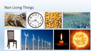 Living and non living things for national science olympiad | PPTX