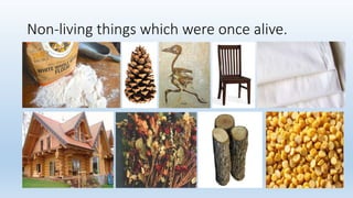 Living and non living things for national science olympiad | PPTX