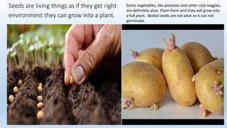 Living and non living things for national science olympiad | PPT