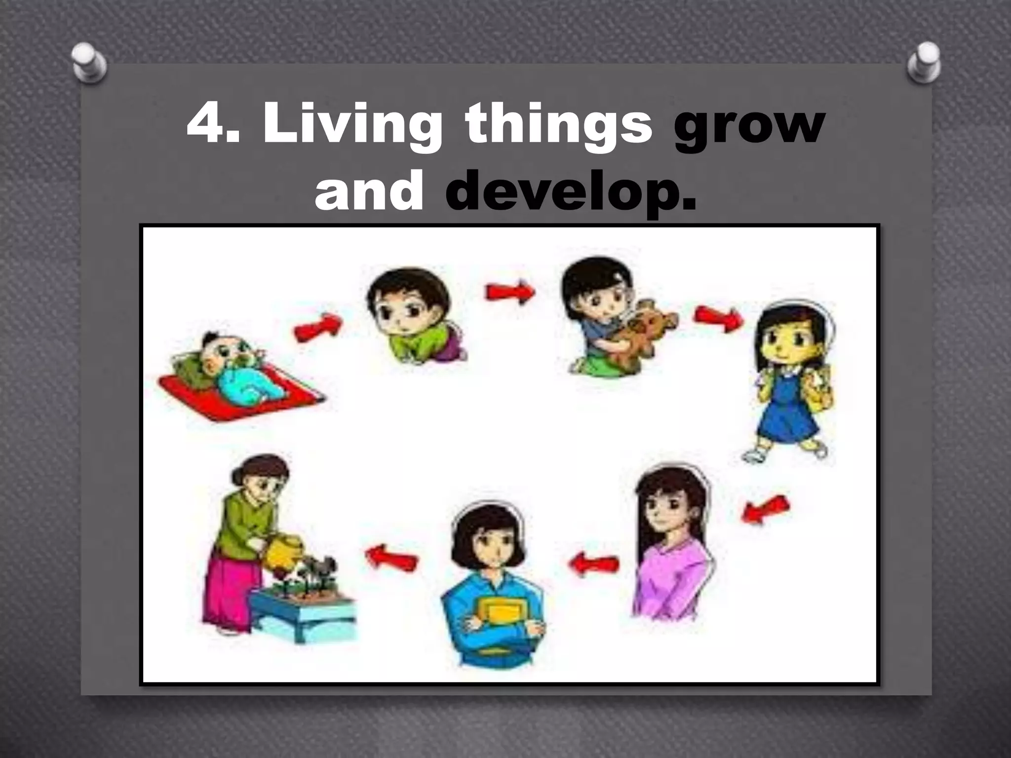 Living and nonliving things powerpoint | PPTX