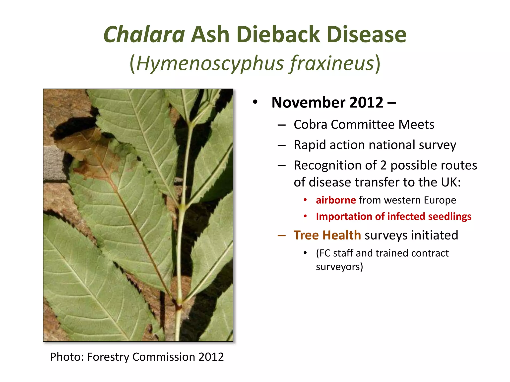 Biology of Chalara Ash Dieback Disease (June 2017) | PDF | Beekeeping ...