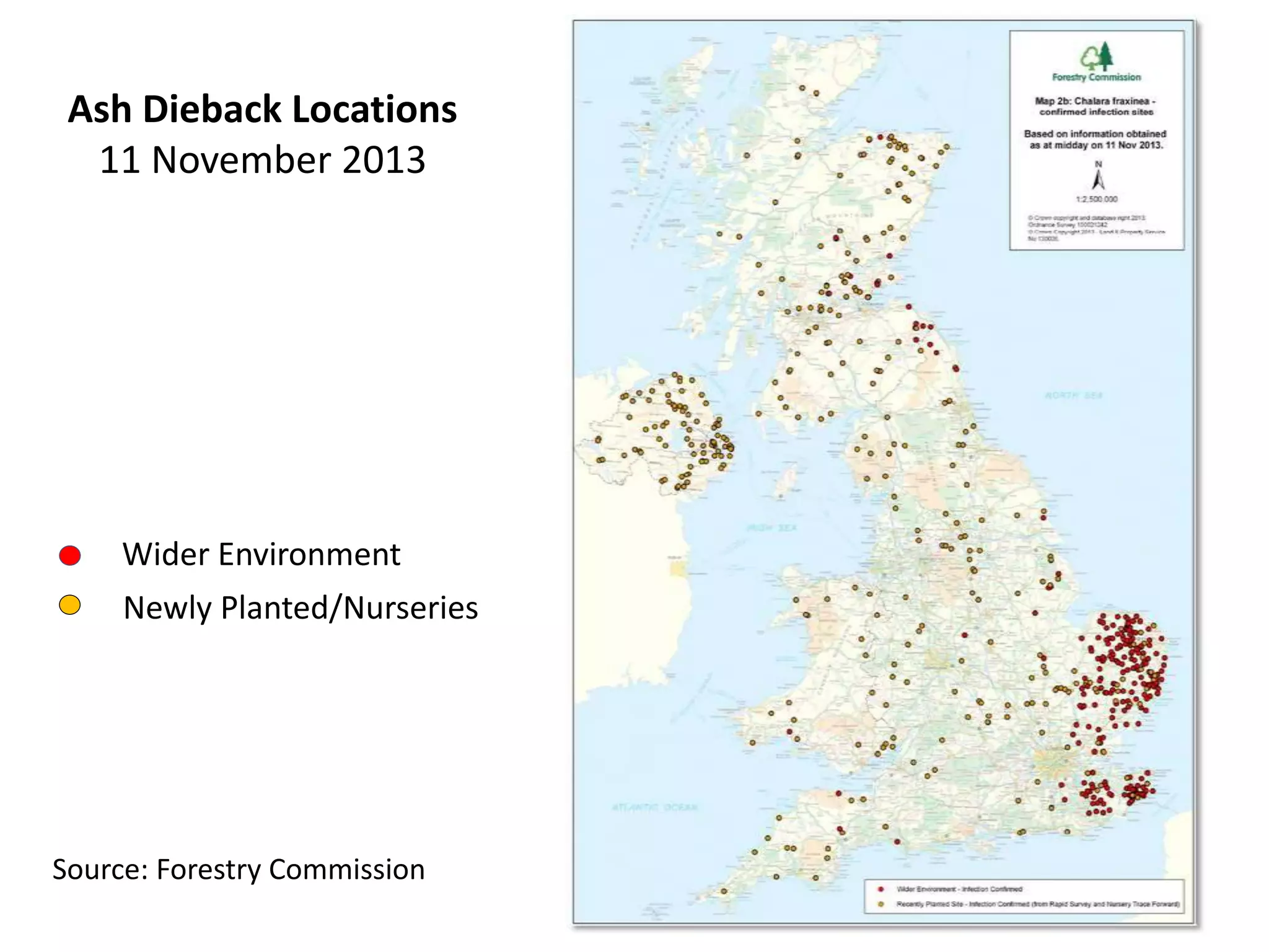Biology of Chalara Ash Dieback Disease (June 2017) | PDF