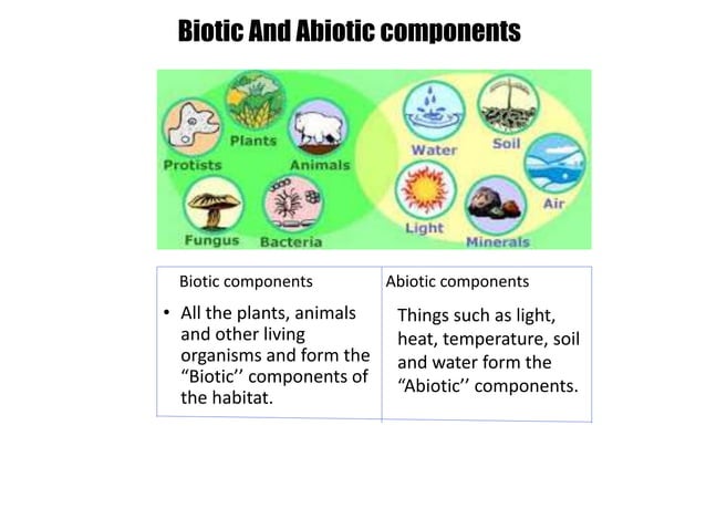 Living being & non living things | PPT