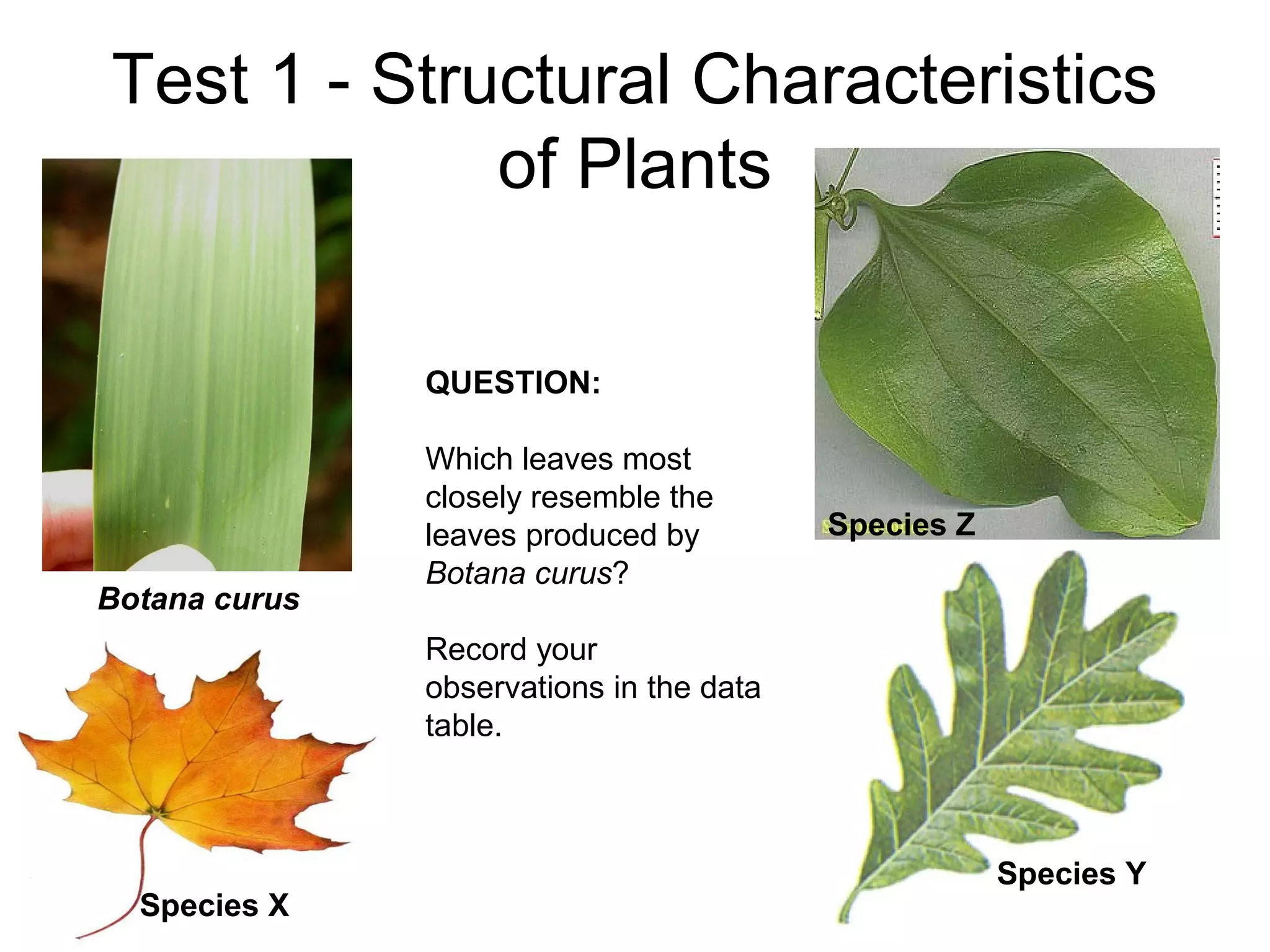 Relationships and Biodiversity State Lab Review(1) | PPT