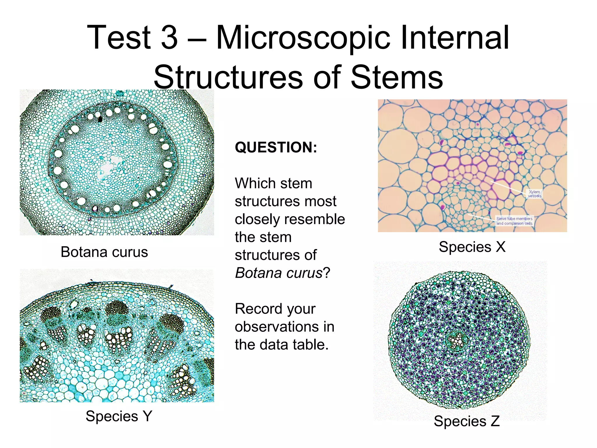 Relationships and Biodiversity State Lab Review(1) | PPT