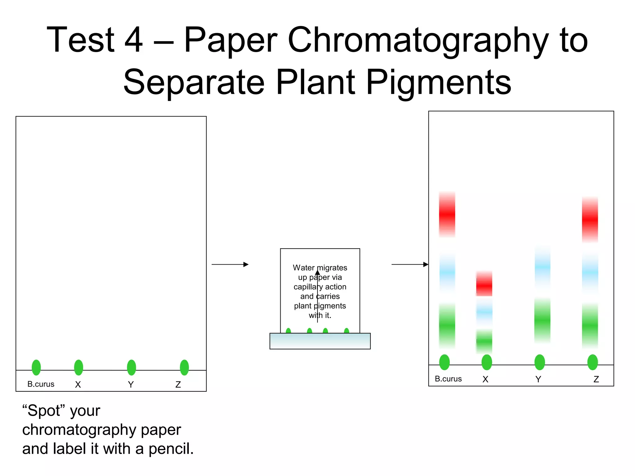 Relationships and Biodiversity State Lab Review(1) | PPT