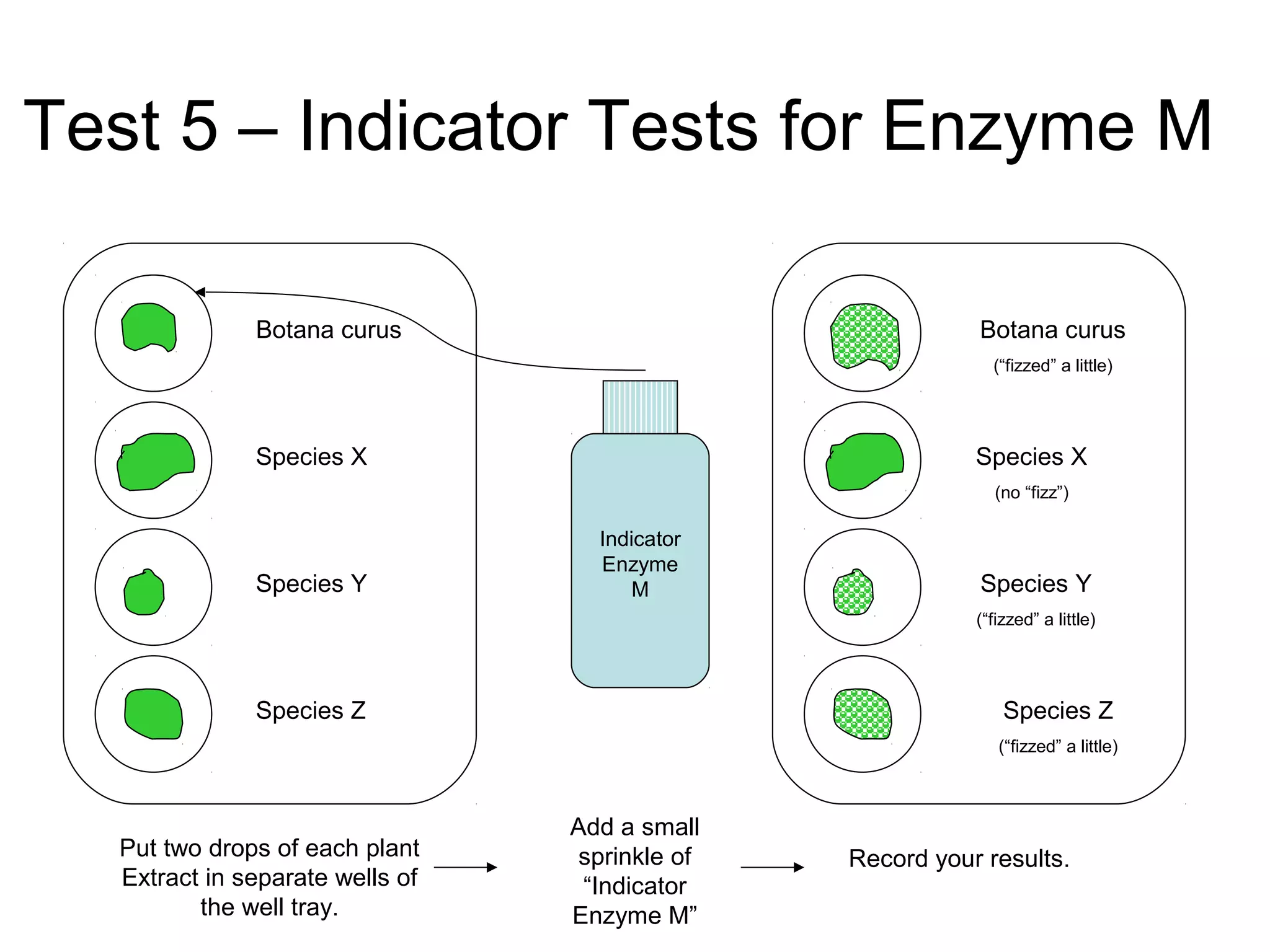 Relationships and Biodiversity State Lab Review(1) | PPT