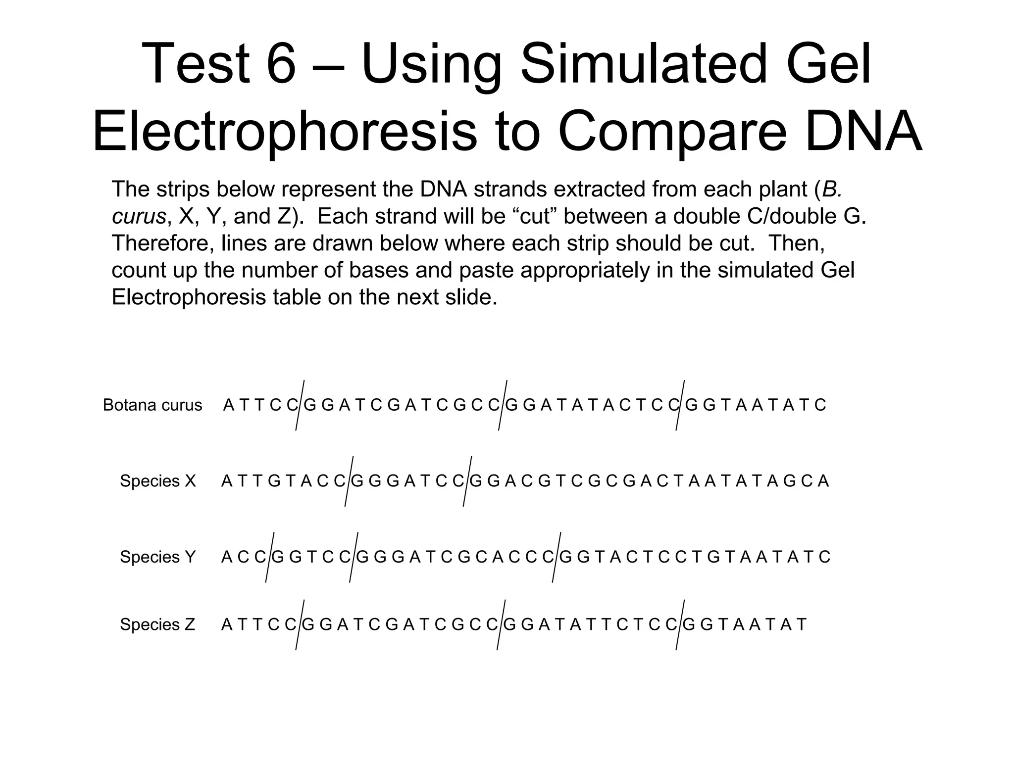 Relationships and Biodiversity State Lab Review(1) | PPT