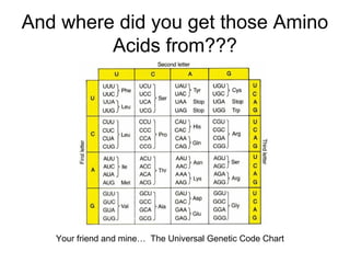 Relationships and Biodiversity State Lab Review(1) | PPT