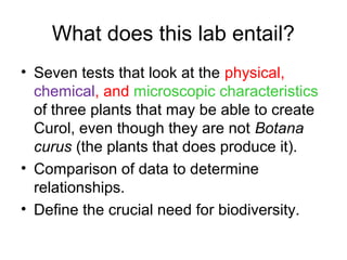 Relationships and Biodiversity State Lab Review(1) | PPT
