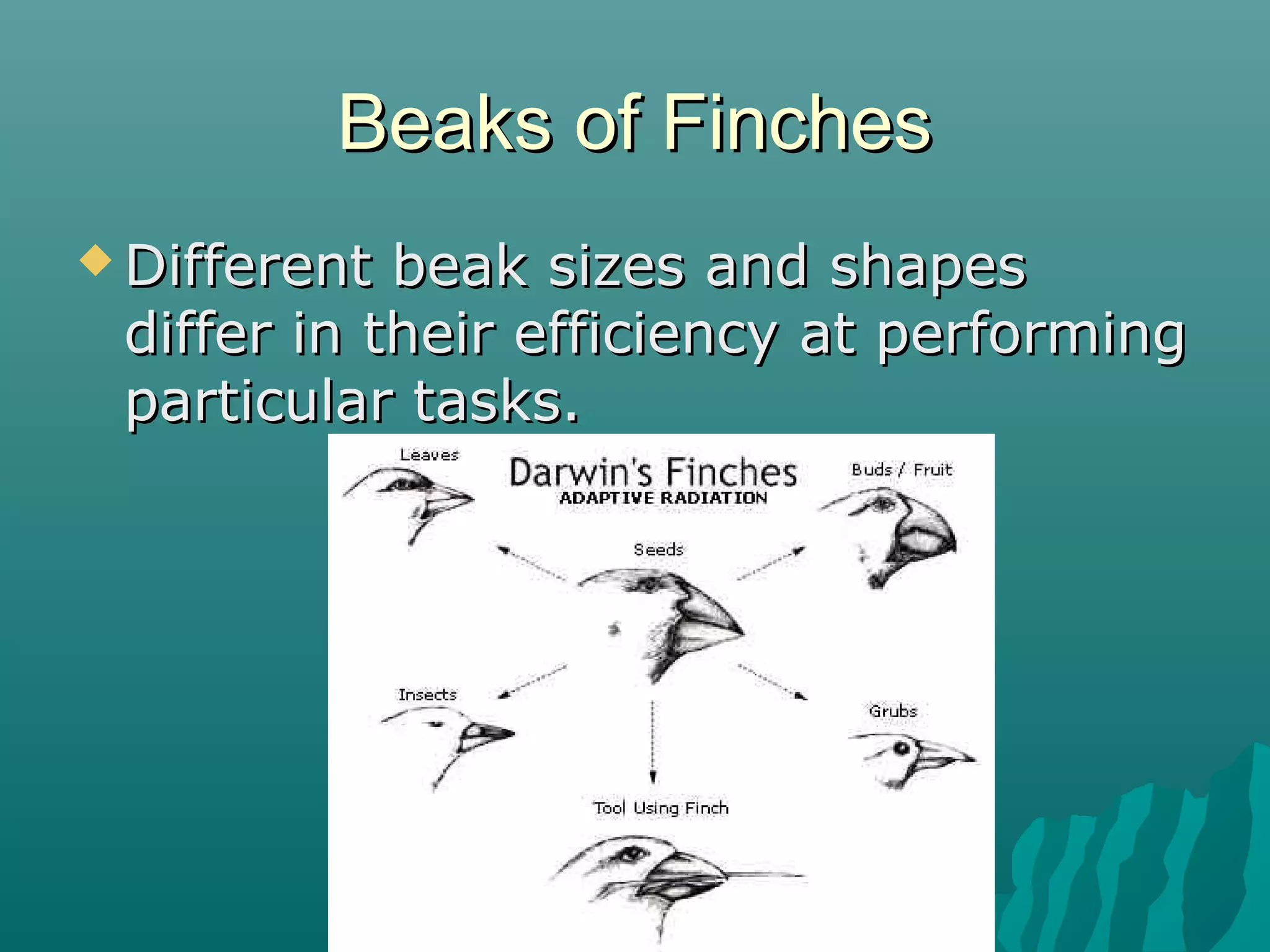 Living Environment Lab Review | PPT