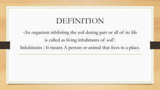living inhabitants of soil by Sarah Ashfaq 5th Semester.pptx