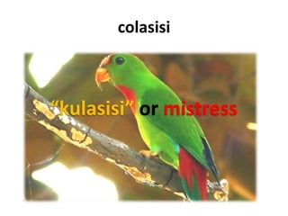 Miriam College Living Museum by the Environmental Studies Institute | PPTX