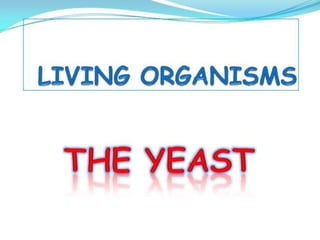 Living Organisms | PPT