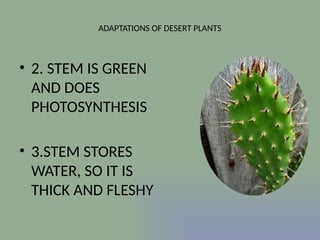 LIVING ORGANISMS AND THEIR SURROUNDINGS.pptx