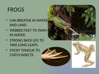 LIVING ORGANISMS AND THEIR SURROUNDINGS.pptx