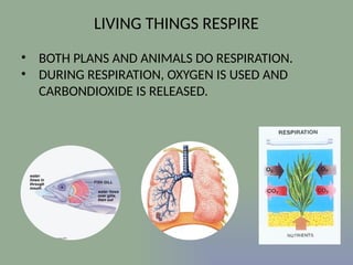 LIVING ORGANISMS AND THEIR SURROUNDINGS.pptx