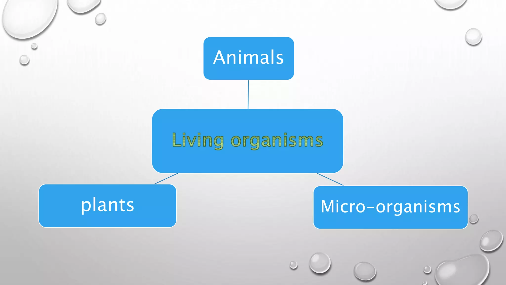 Living organisms diversity and principles of their classification | PPTX