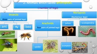 Living organisms diversity and principles of their classification | PPTX