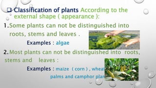 Living organisms diversity and principles of their classification | PPTX