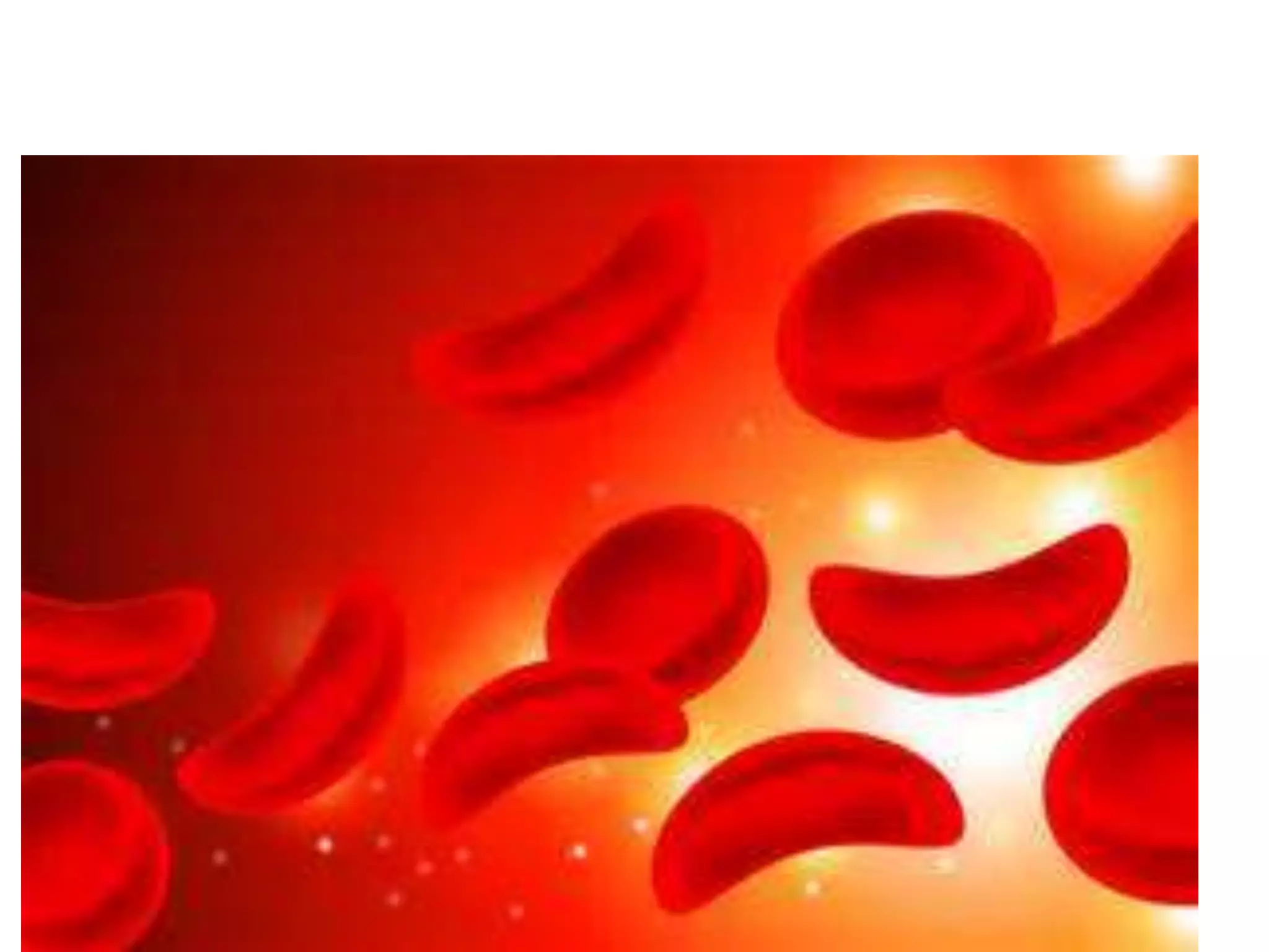 Living or non living | PPTX