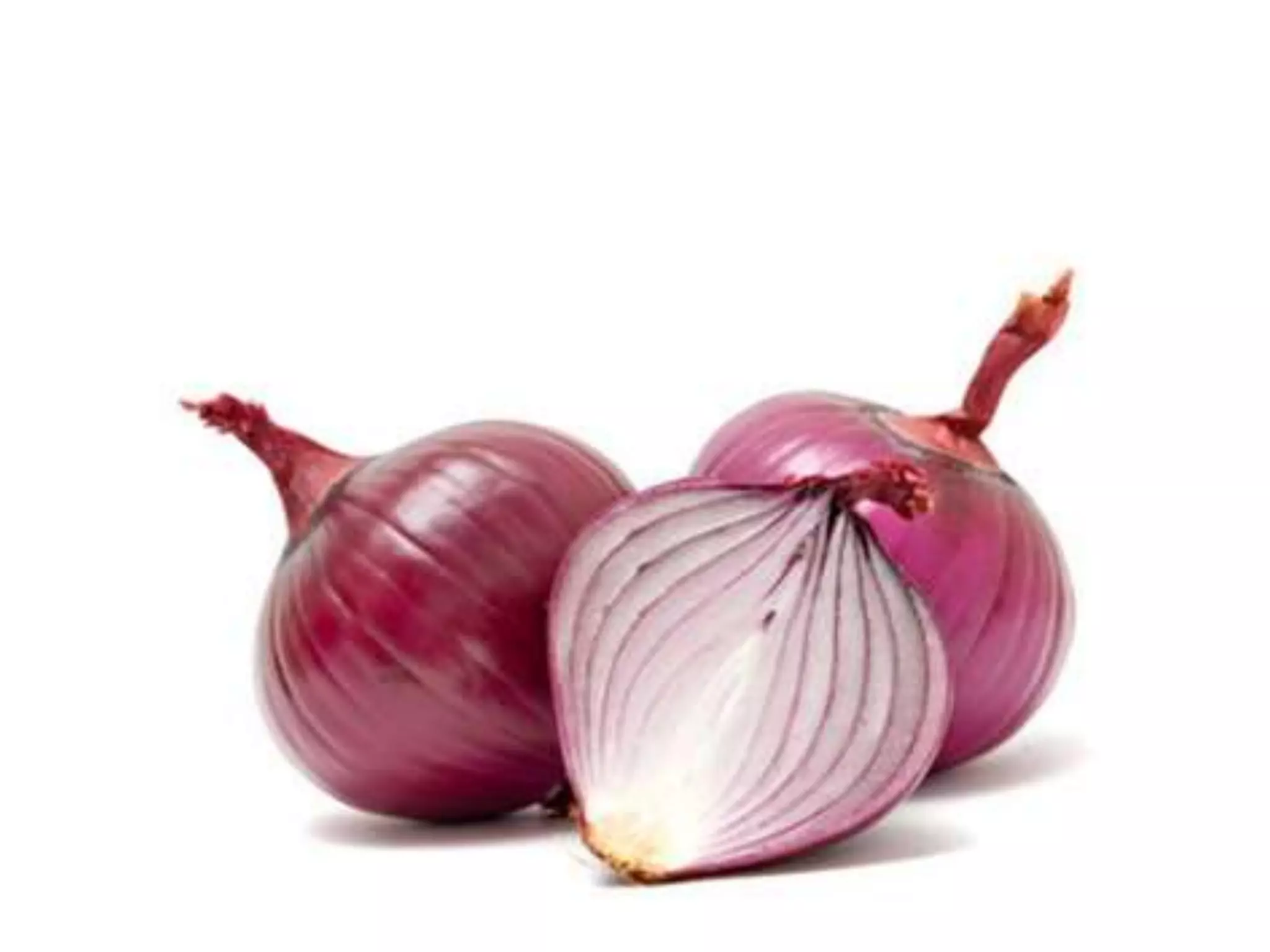 Living or non living | PPTX