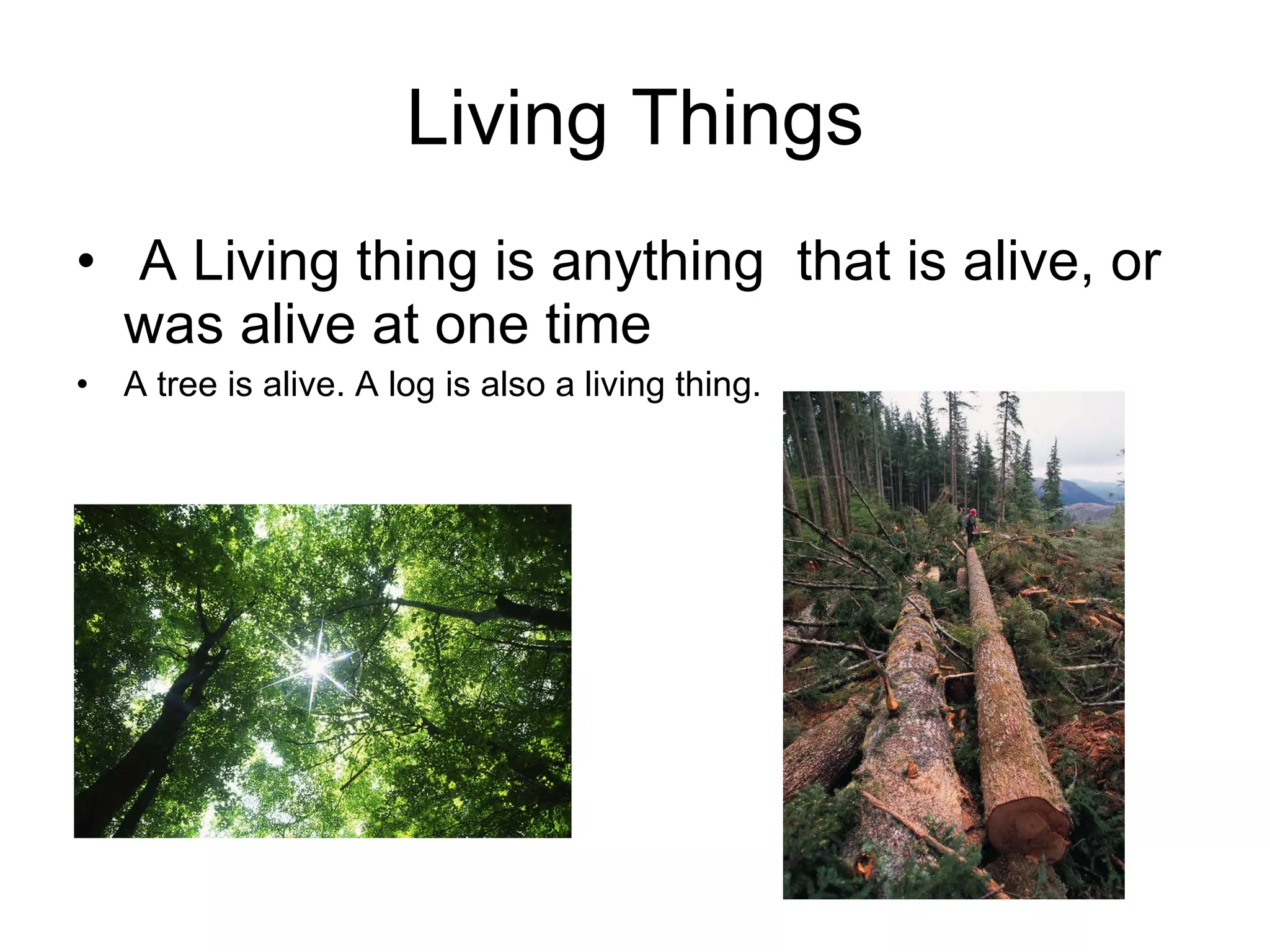 Living or Nonliving | PPT | Free Download