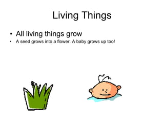 Living or Nonliving | PPT