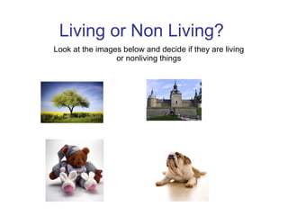 Living or Nonliving | PPT