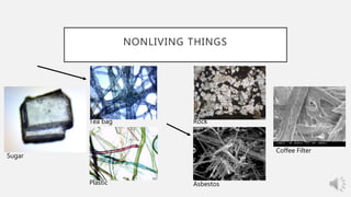 Living or Nonliving? | PPT