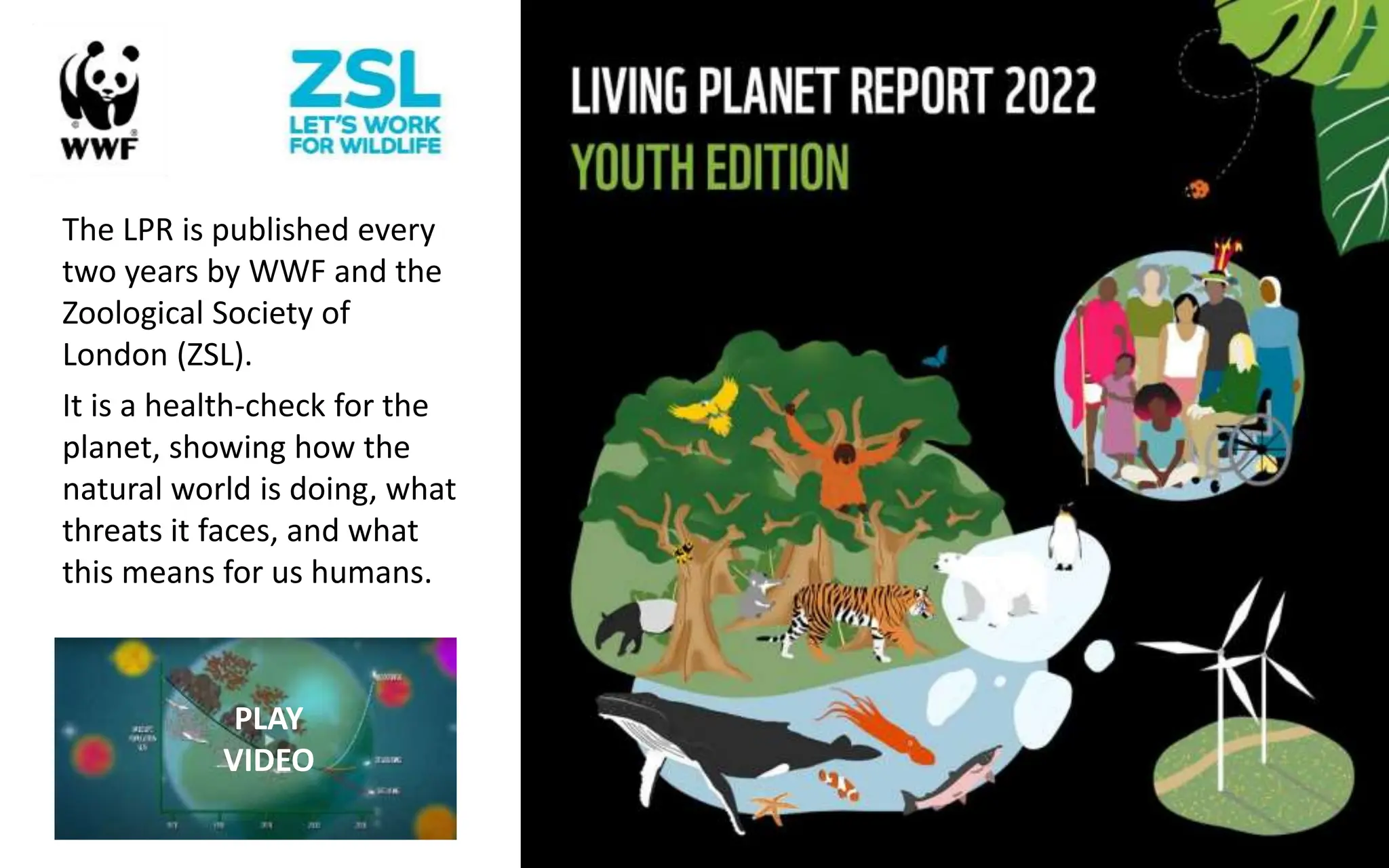 Living_Planet_Report_2022_ClassroomSlides_Secondary.pptx